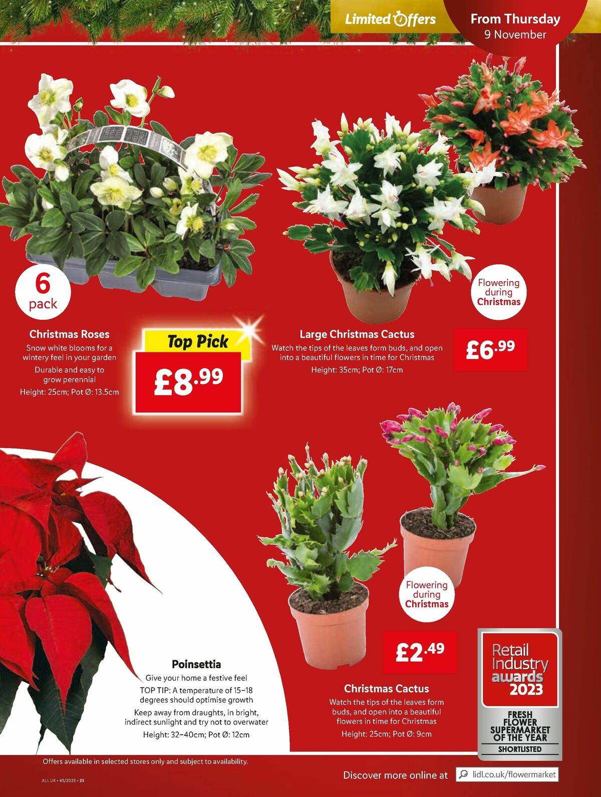 LIDL UK - Offers & Special Buys from 9 November - Page 21